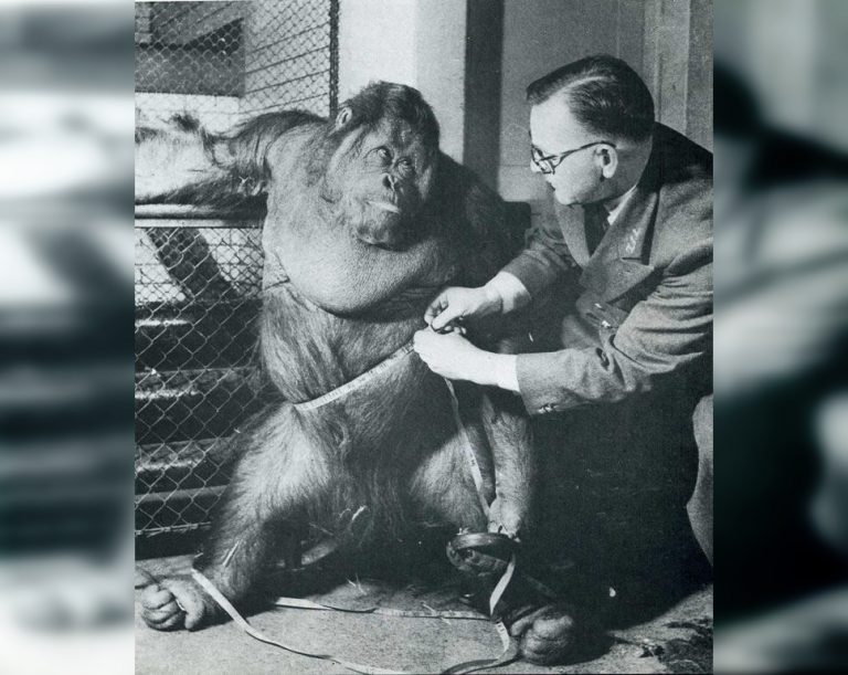 The Funniest Photo of the Past - URAPRESS